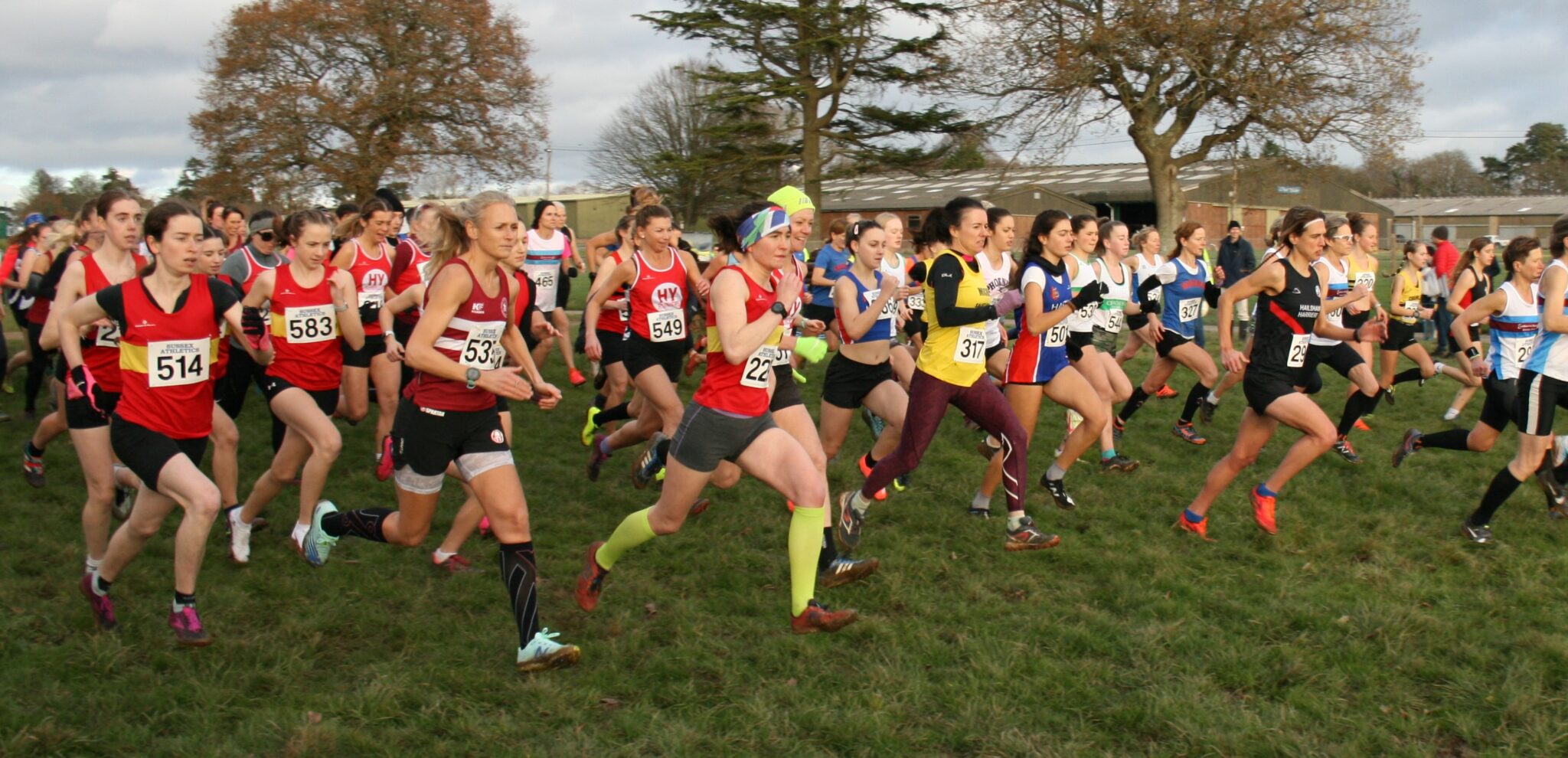 Galleries Archives - Lewes Athletic Club